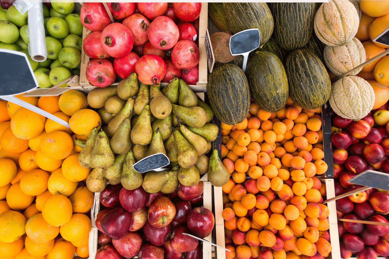 Vegrow – Elevation Capital